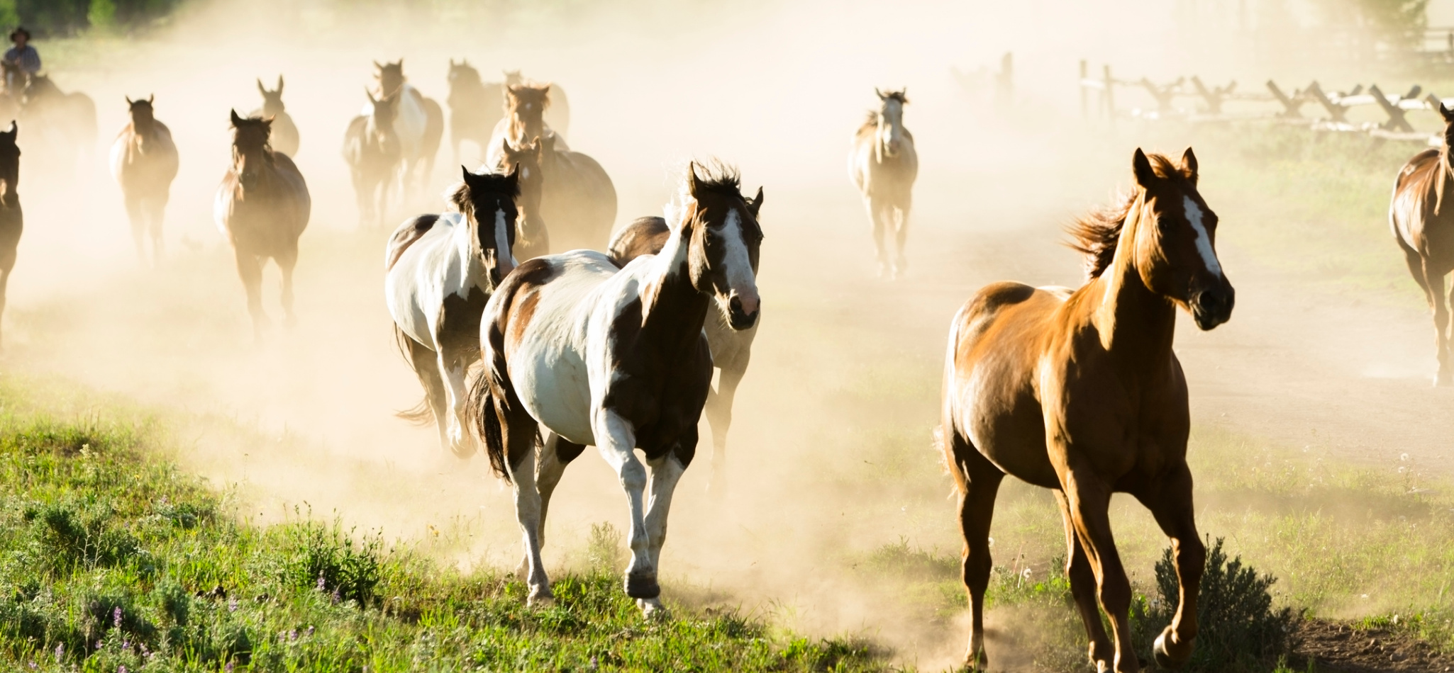 Ranches & Land in Montana | America's 1st Choice Realtors