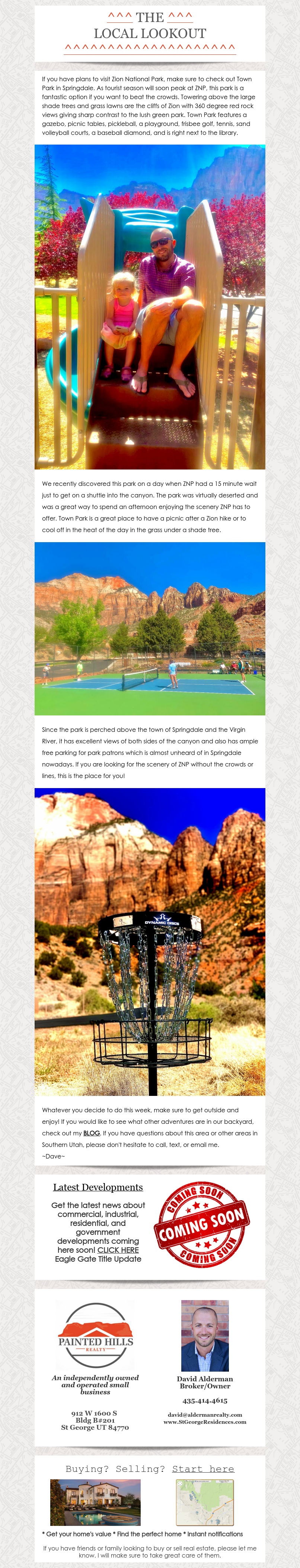 The Local Lookout- Town Park