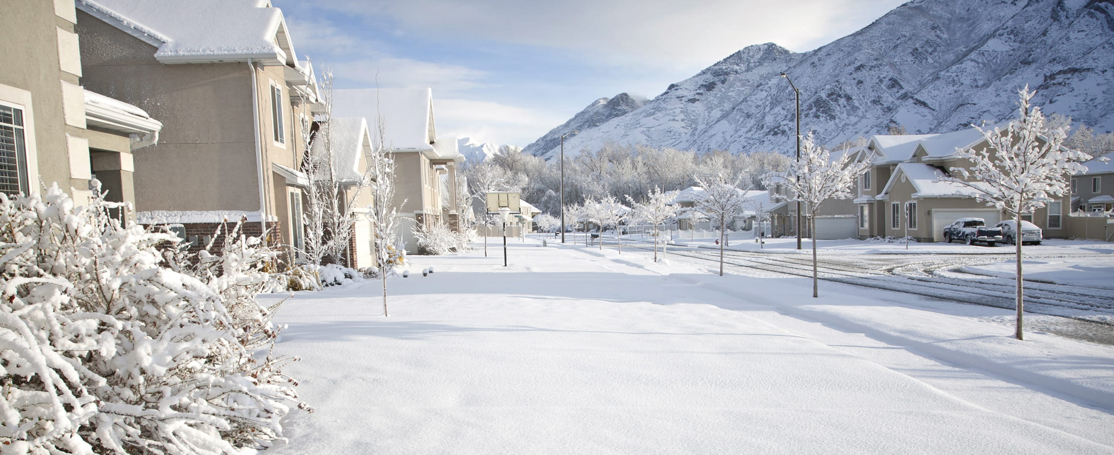 Western Colorado Home Search