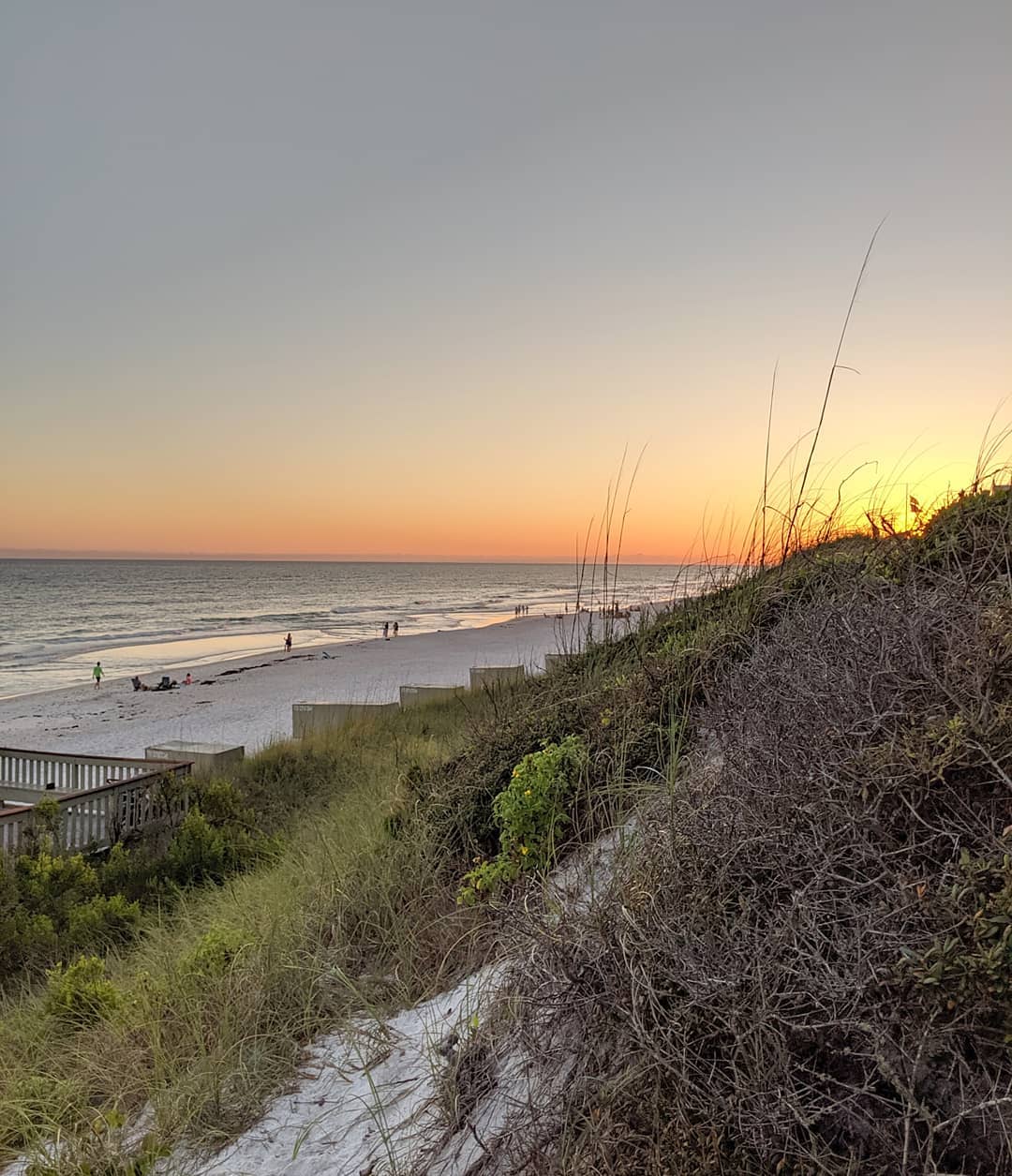 Rosemary Beach Vacation Homes: The Complete Guide