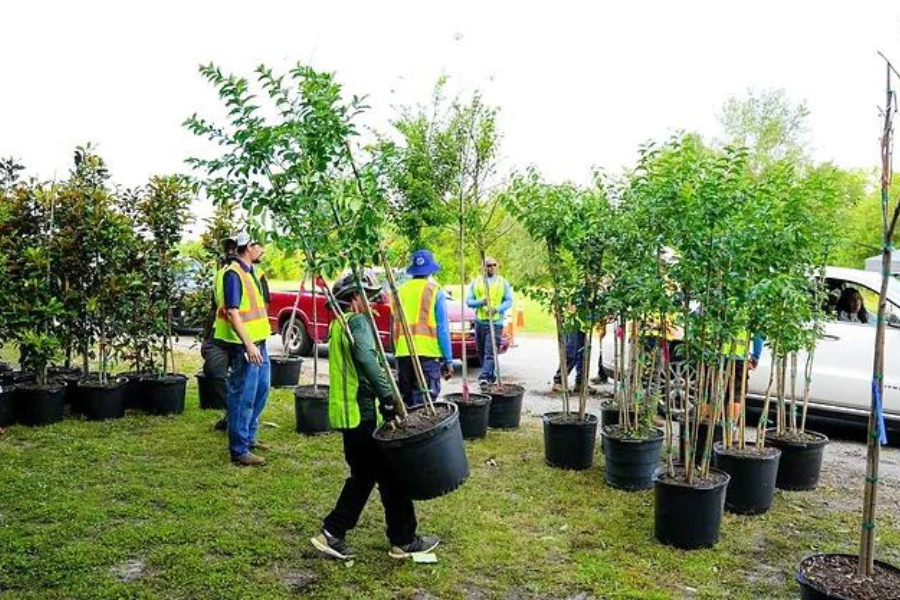 Orlando Unplugged: March News & Updates