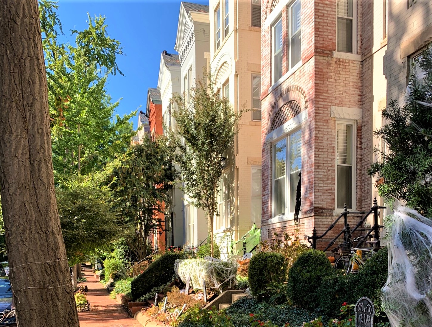 Georgetown Dc Mansions at Ryan Moorman blog