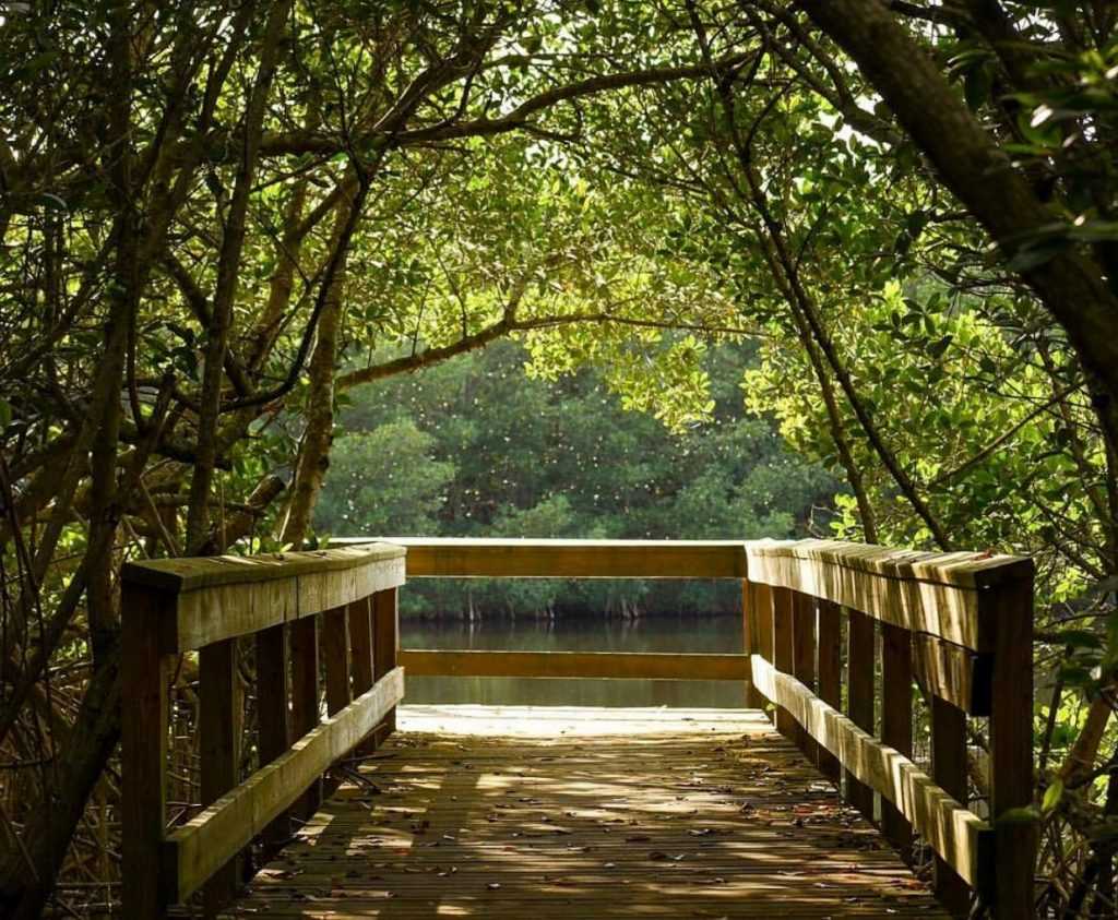 Mini Guide to Port Charlotte, Florida