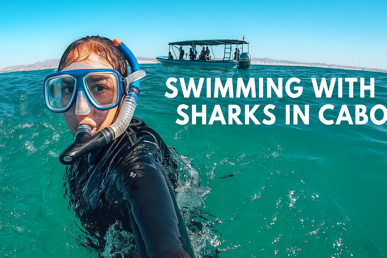 Are There Sharks in Cabo San Lucas Mexico? What to Know in 2025
