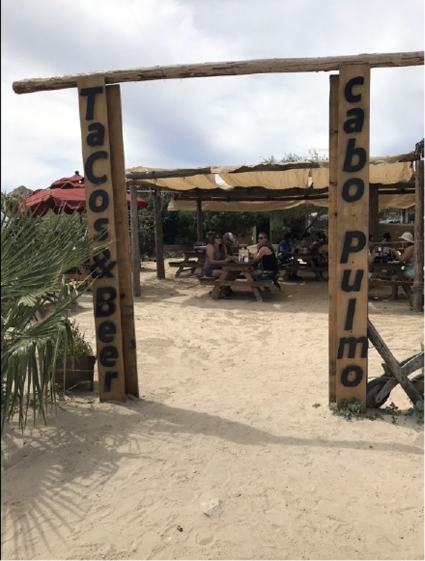 Cabo Pulmo: Mexico's Hidden Gem for Eco-Adventure and Serenity