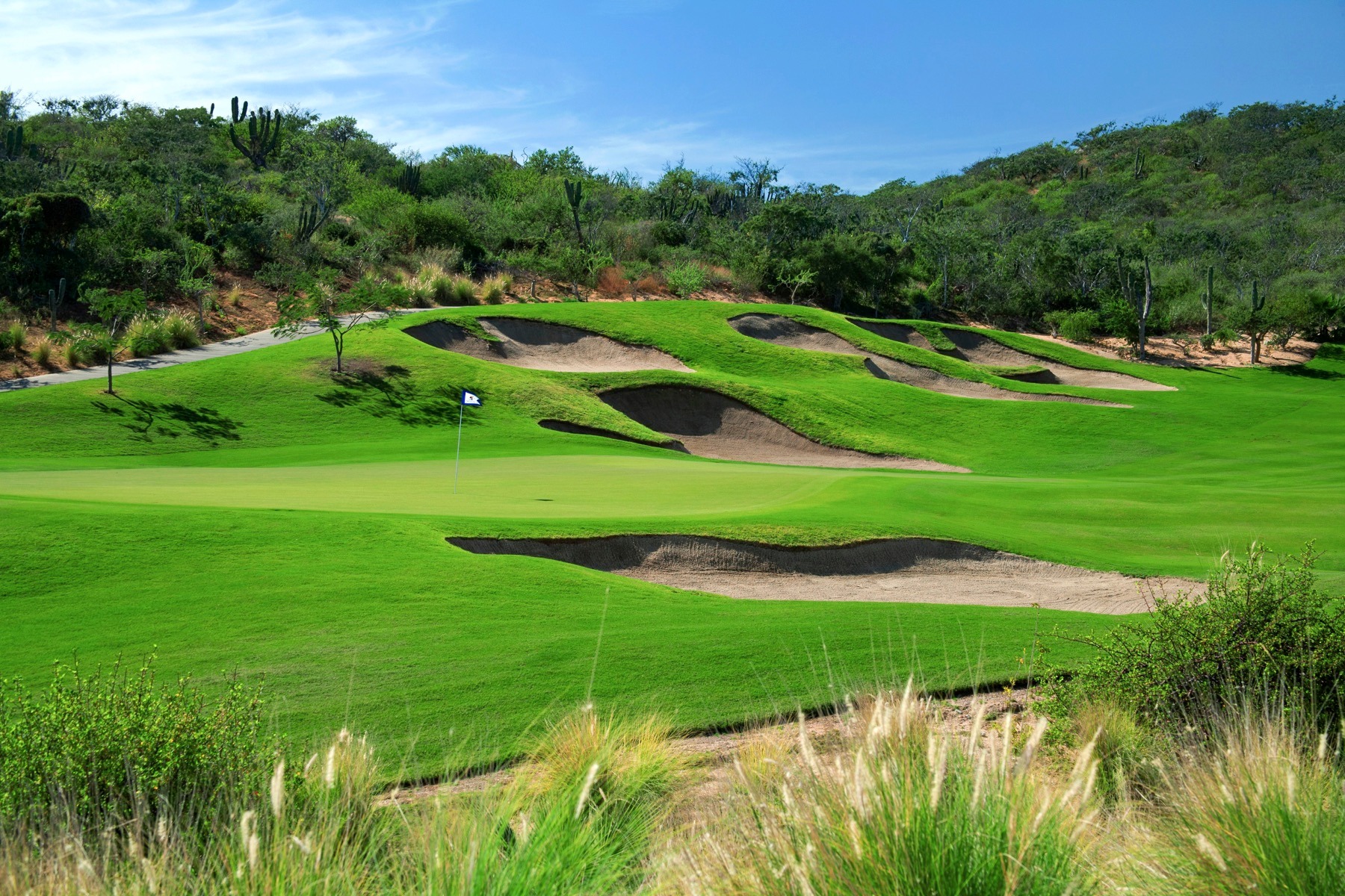 How Many Golf Courses in Los Cabos? 2025 Courses, Top Picks & Local Tips