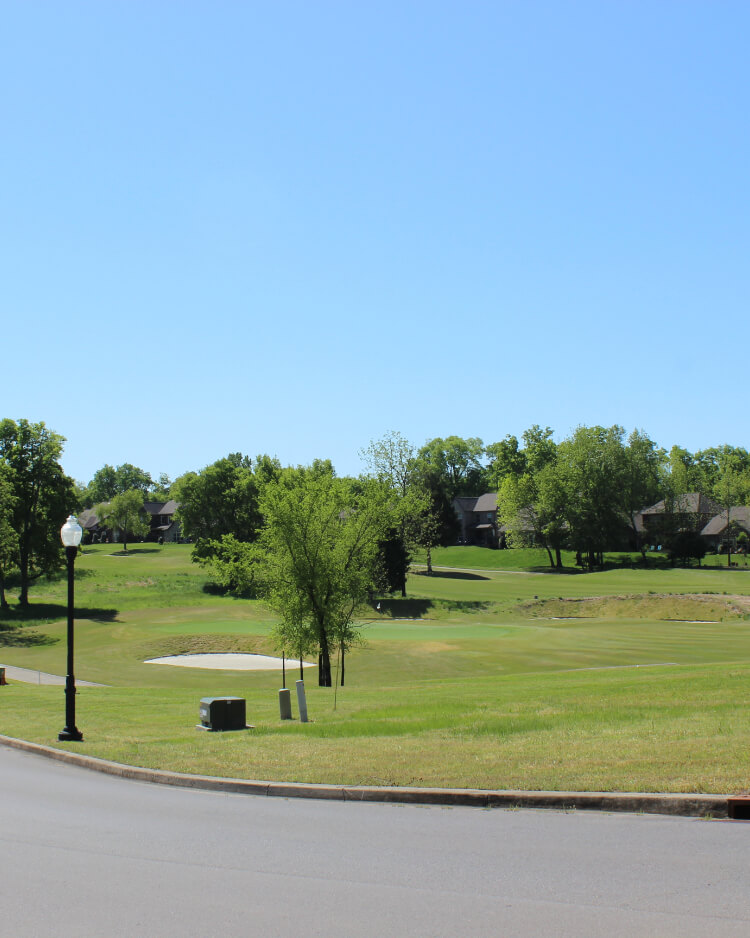 Find Your Dream Home