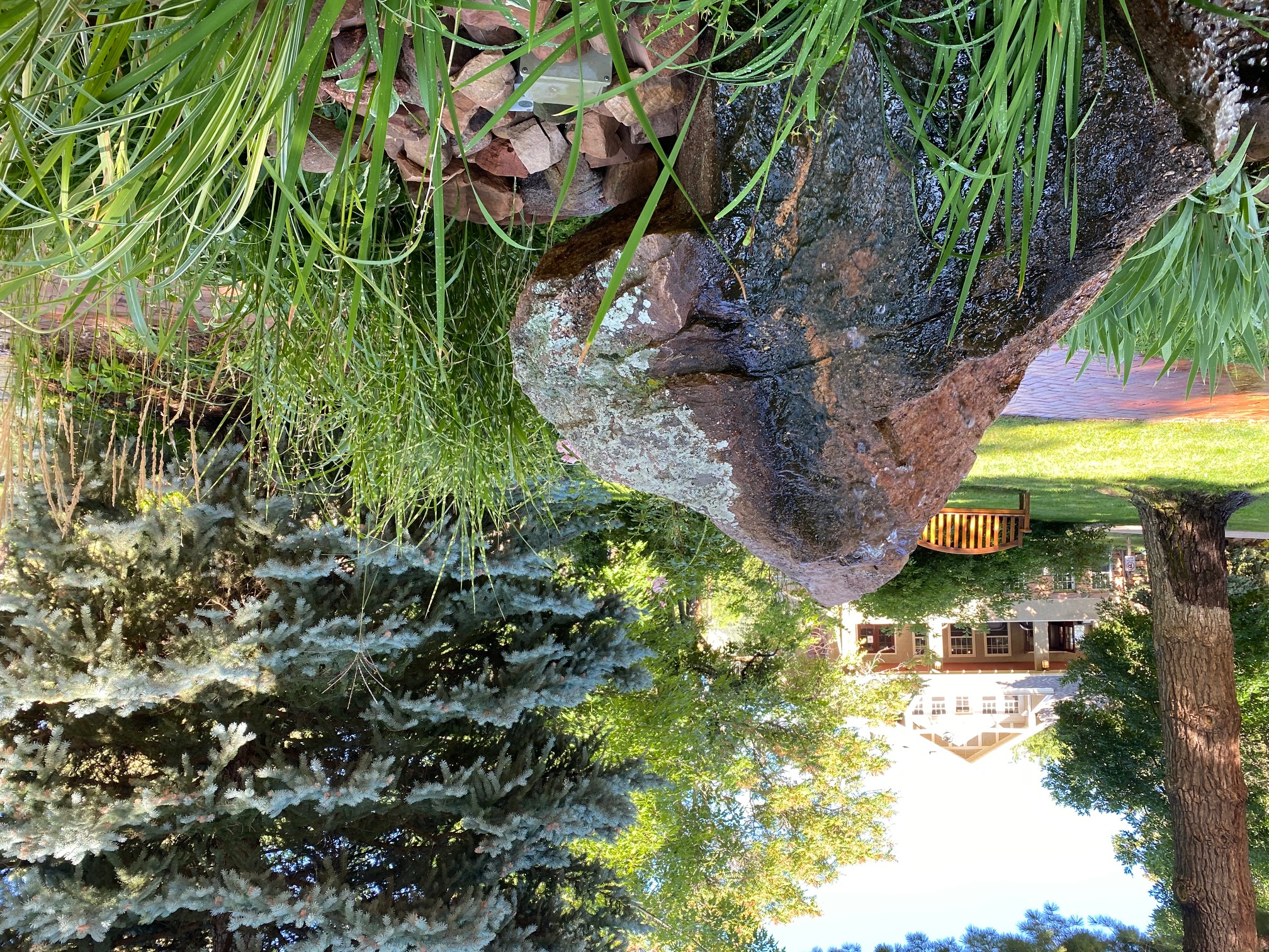 Buying a Home in Colorado