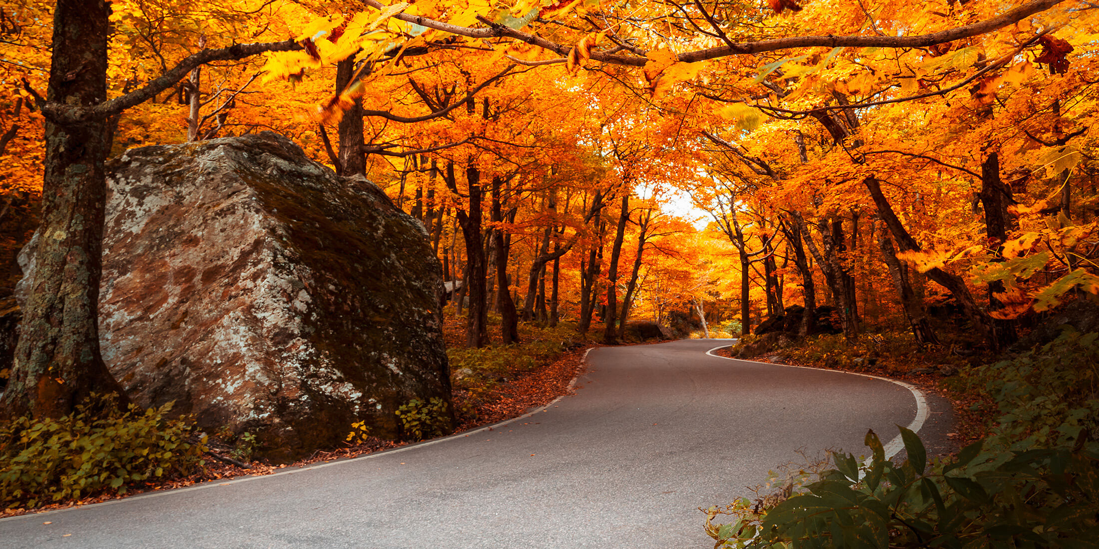 Vermont Real Estate | Vermont Homes and Condos for Sale