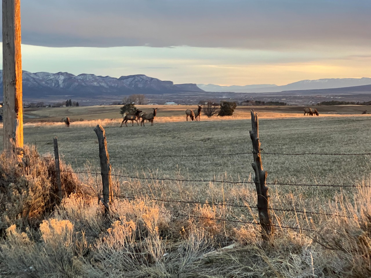 What is There to Do in Dolores Colorado?