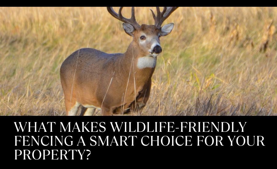 What Makes Wildlife-Friendly Fencing a Smart Choice for Your Property?