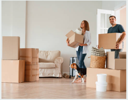 Moving with Pets: A Guide to a Smooth Relocation for Your Furry Friends