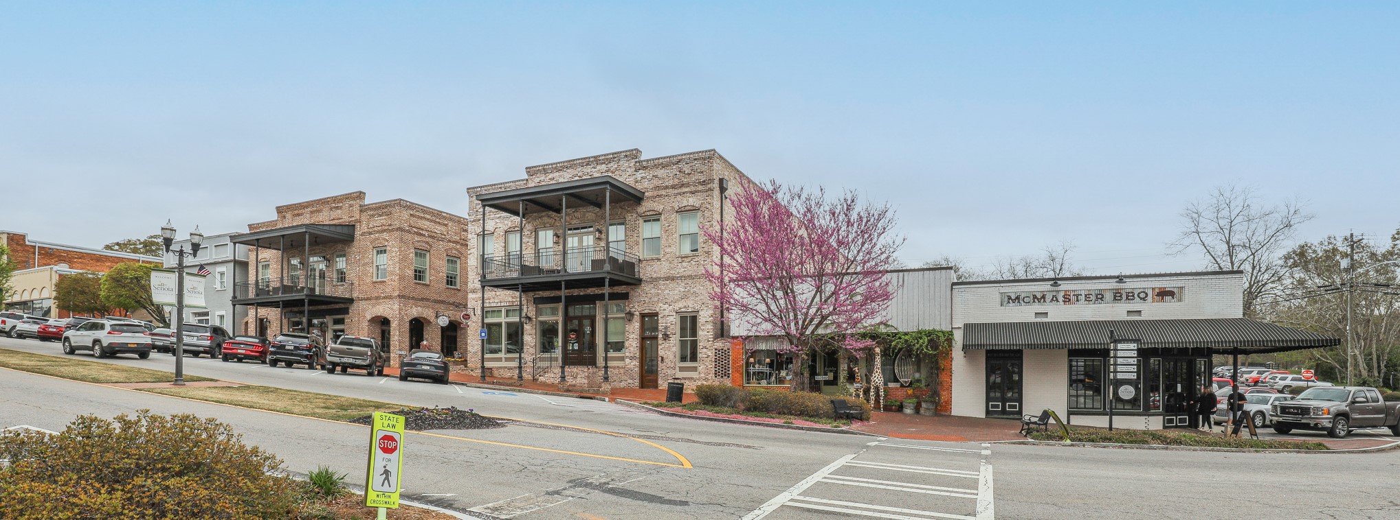 Downtown Senoia New Construction