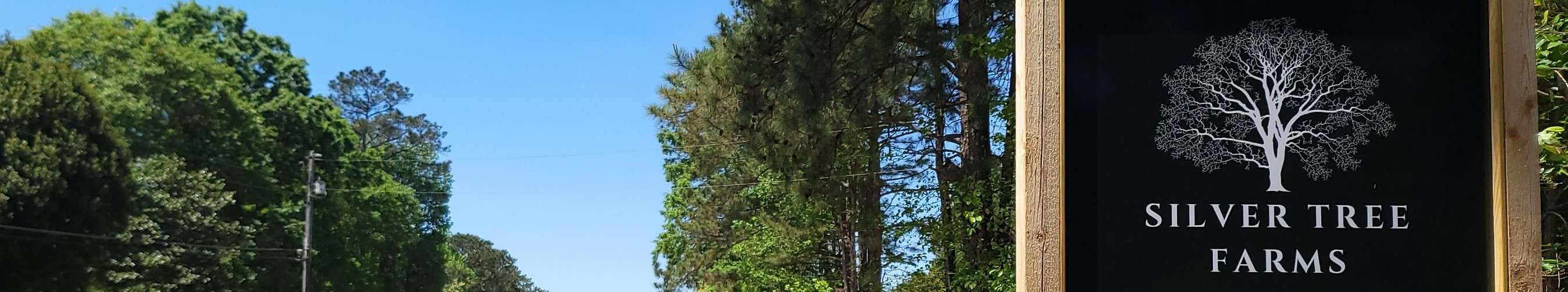 Silver Tree Farms Homes - Senoia, GA