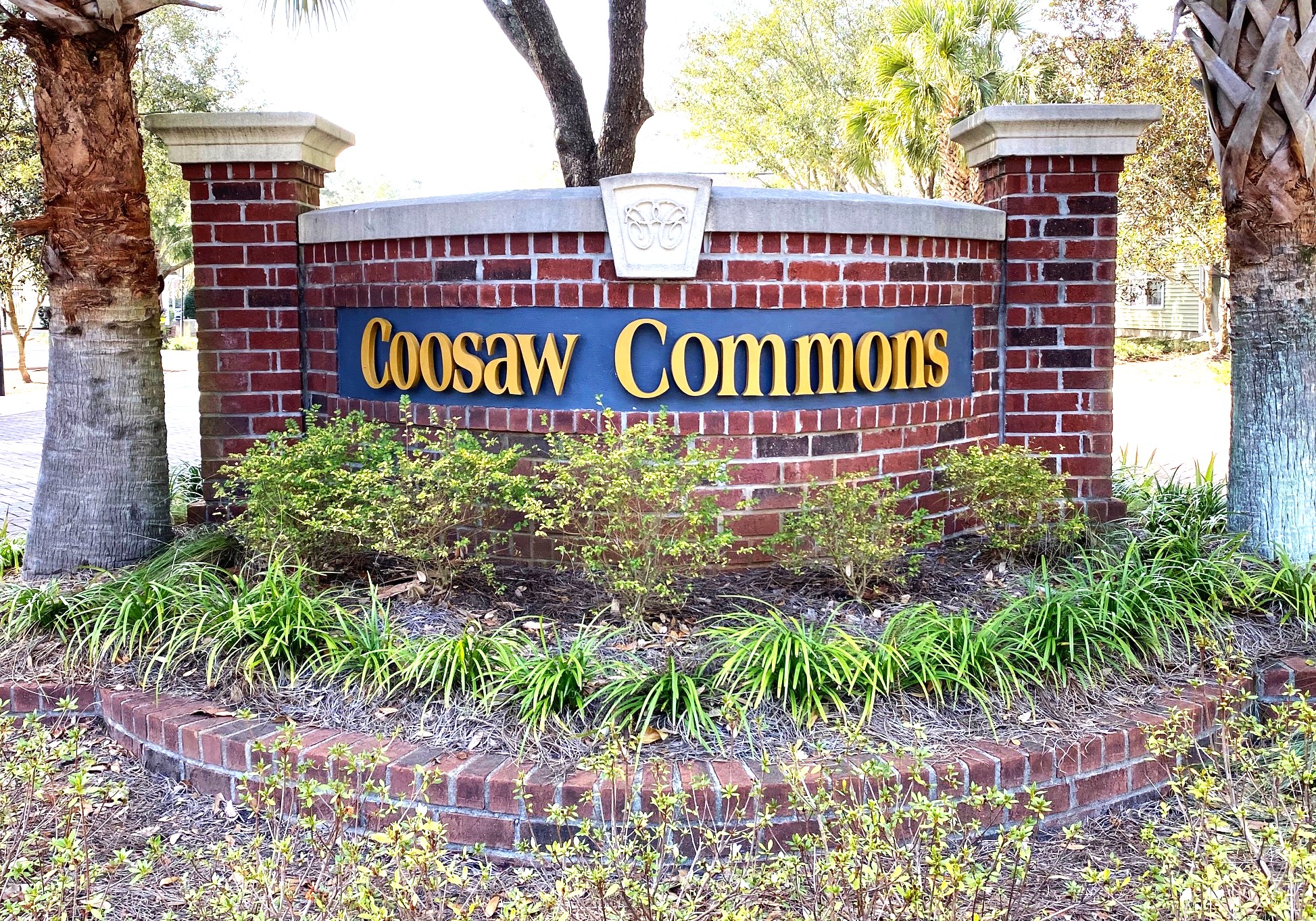 Homes in Coosaw Commons
