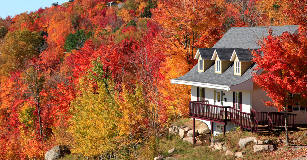 What Are Experts Saying About the Fall Housing Market?