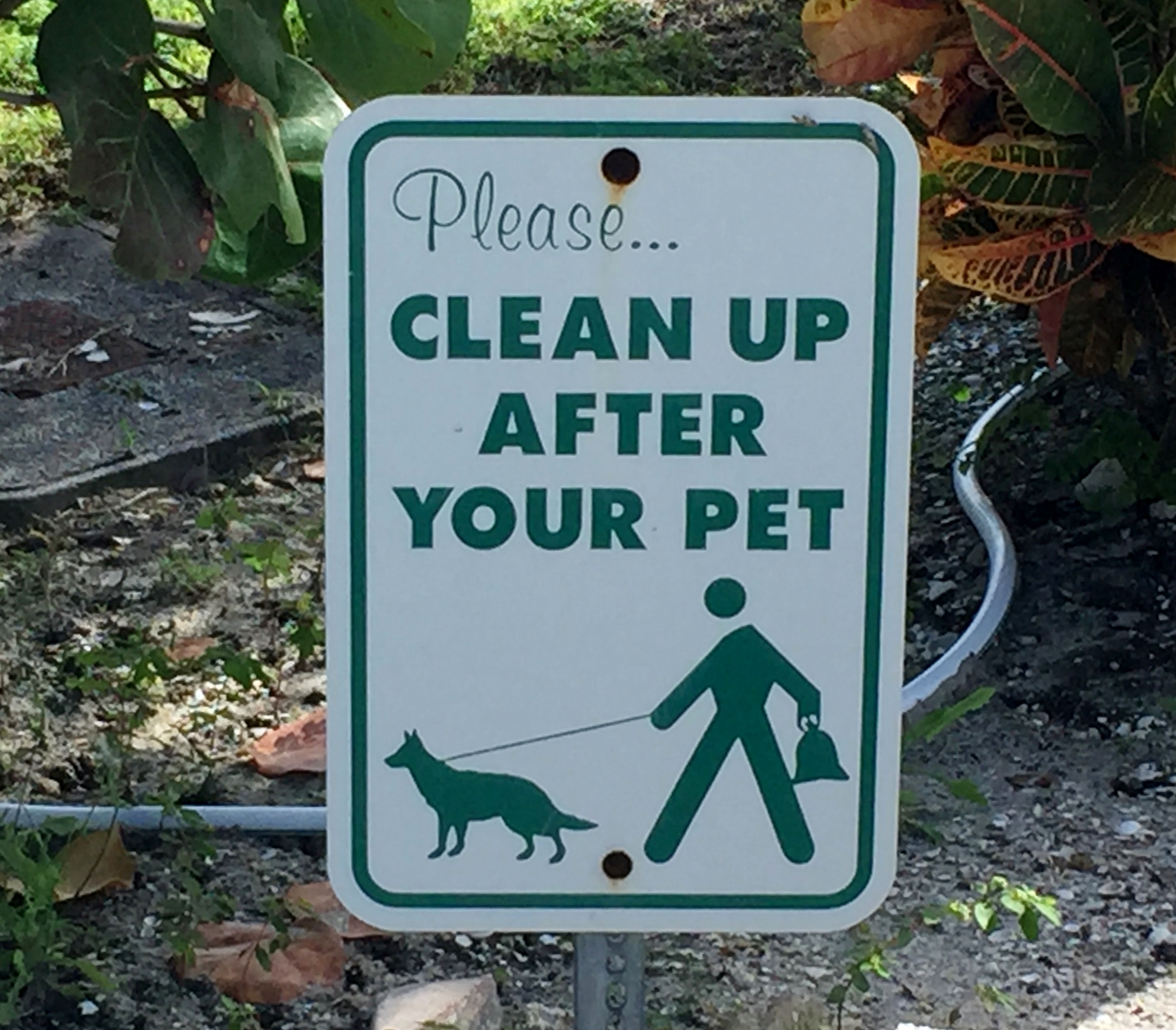 Pets in Cape Coral