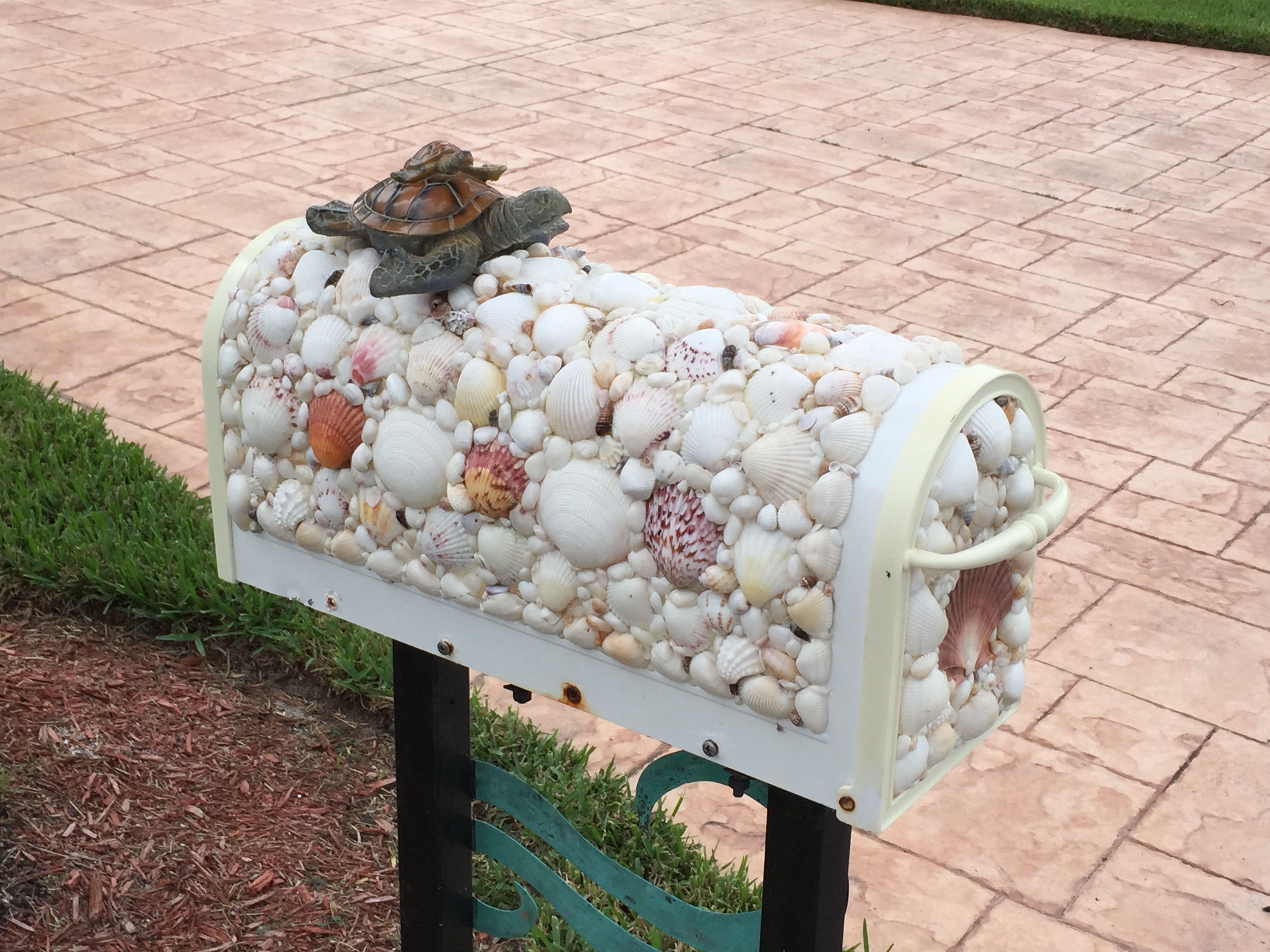 Sanibel Shell ideas