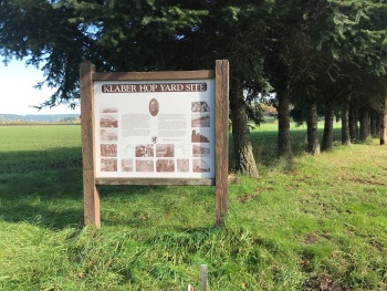 Boistfort Homes for Sale & Boistfort Real Estate. Boistfort, Washington