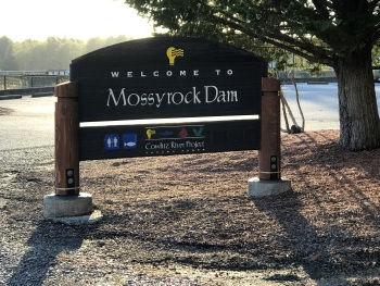 Mossyrock Homes for Sale & Mossyrock Real Estate. Mossyrock, Washington