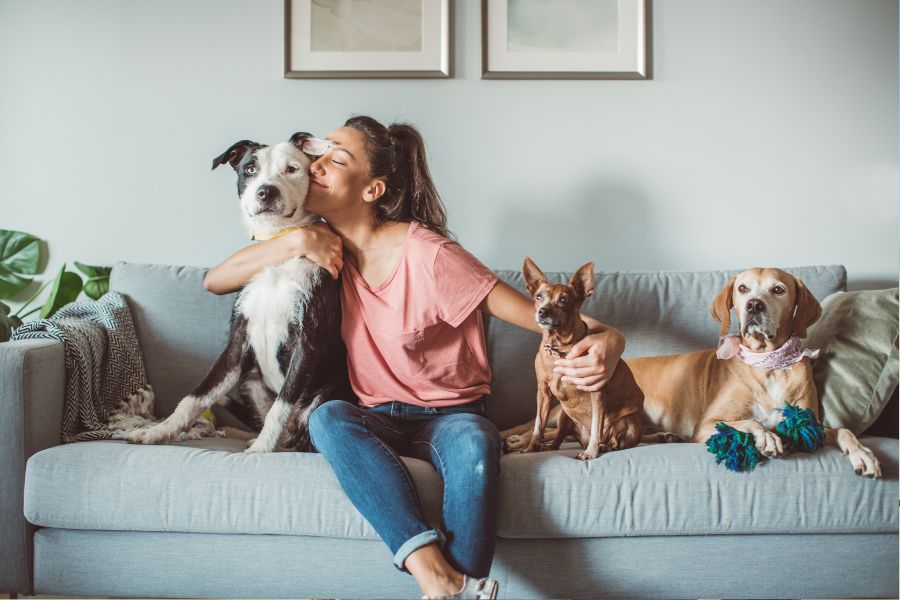 A Guide to Pet Friendly Activities on the Forgotten Coast of Florida