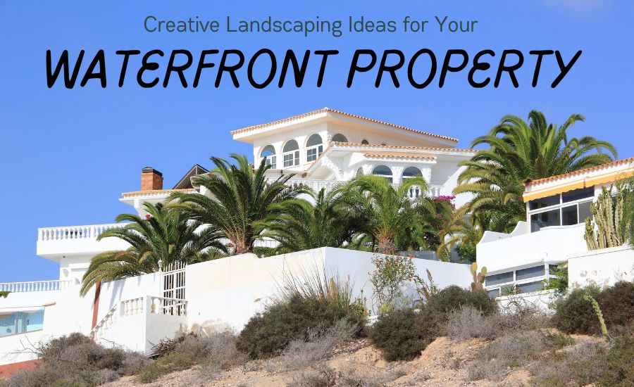 Creative Landscaping Ideas for Your Waterfront Property