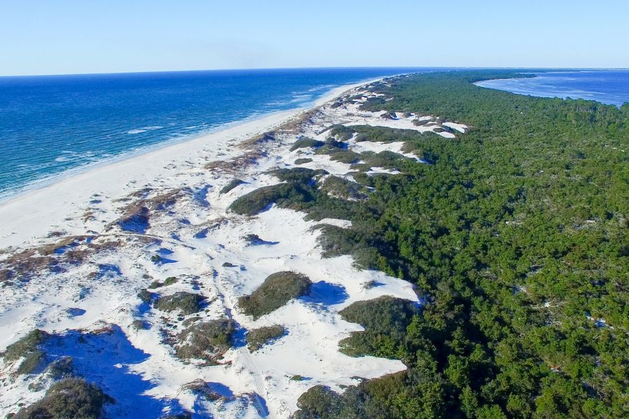 Visit the Forgotten Coast of Florida’s Best Kept Secret: Cape San Blas