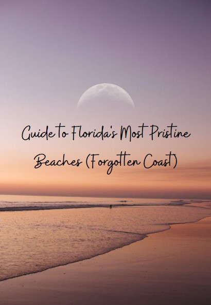 Guide to Florida's Most Pristine Beaches (Forgotten Coast)