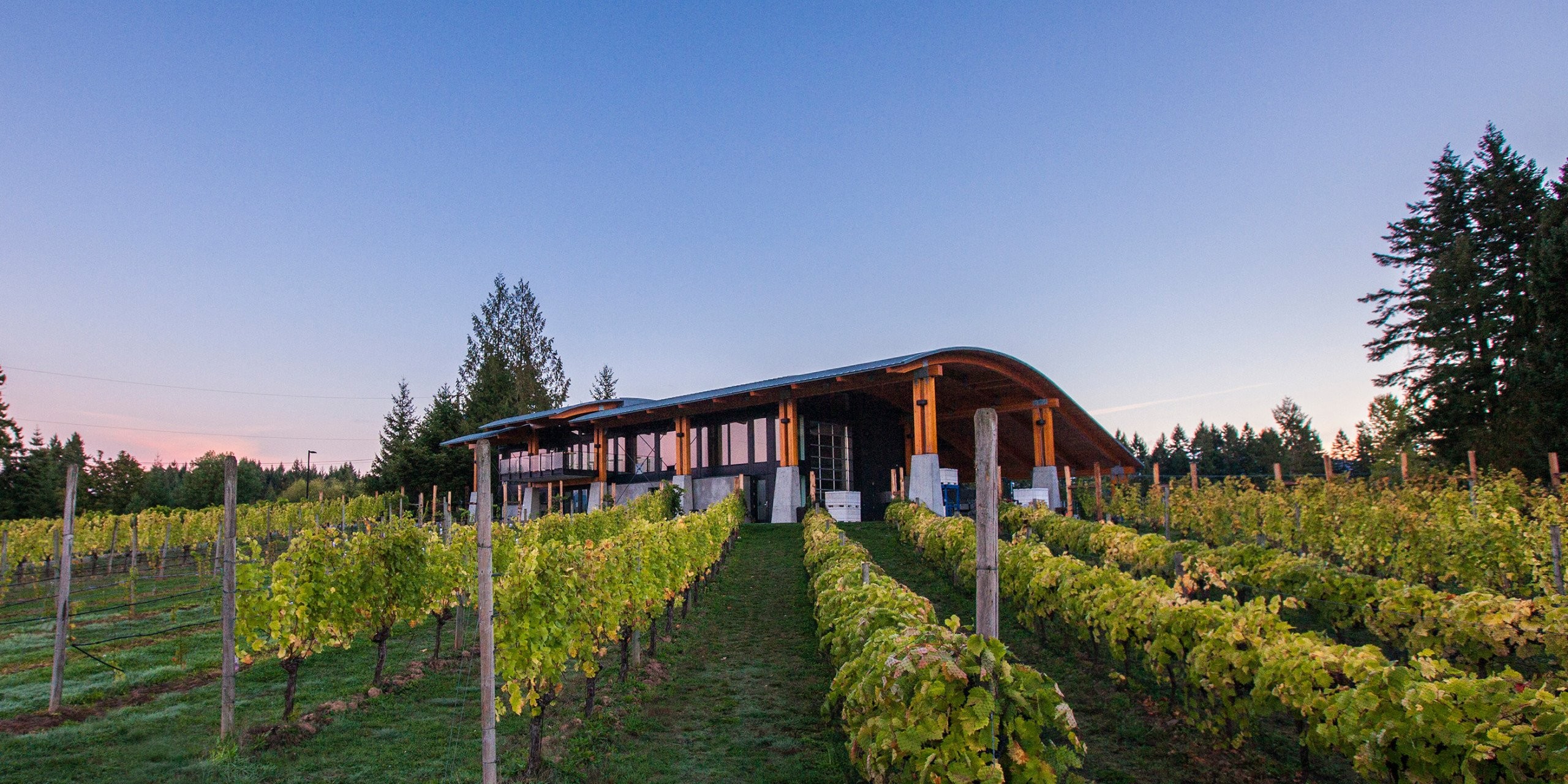 Our Top Wineries, Chocolatiers and Florists Making Vancouver Island a ...