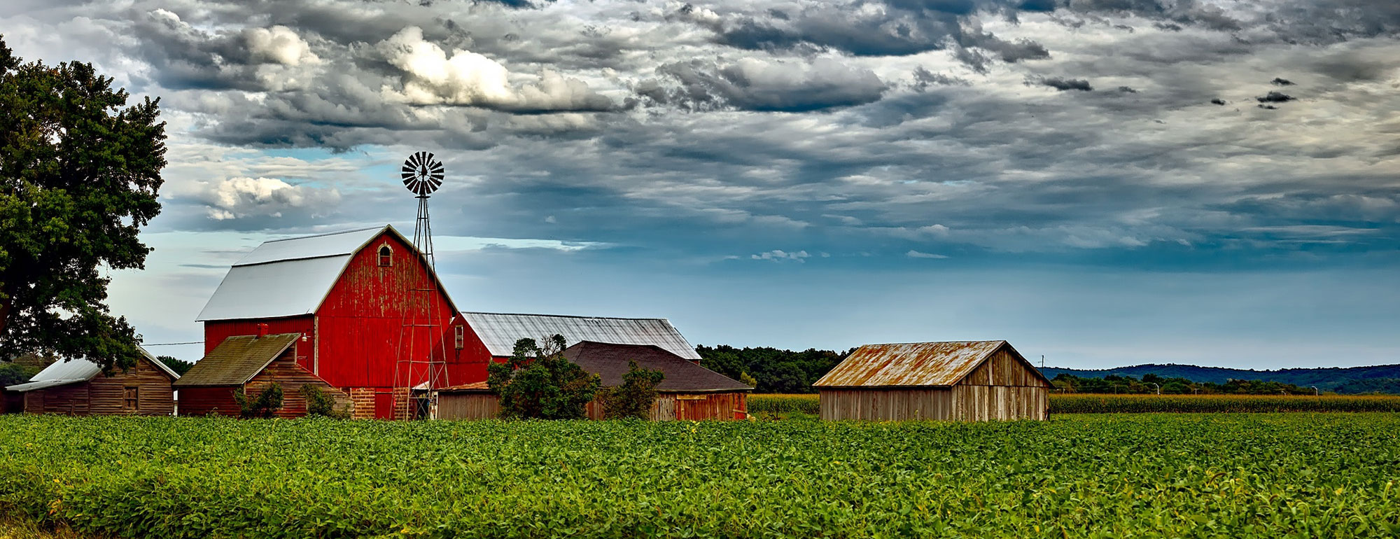 The Legacy of Lake Minnetonka Farms | Lake Minnetonka Real Estate ...