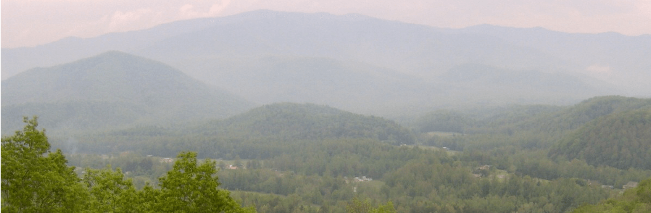 Cabins and Homes in Cosby TN