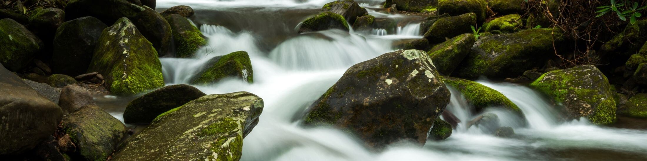 Cabins for Sale in Cosby TN