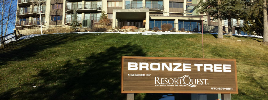 Bronze Tree Steamboat Springs Real Estate