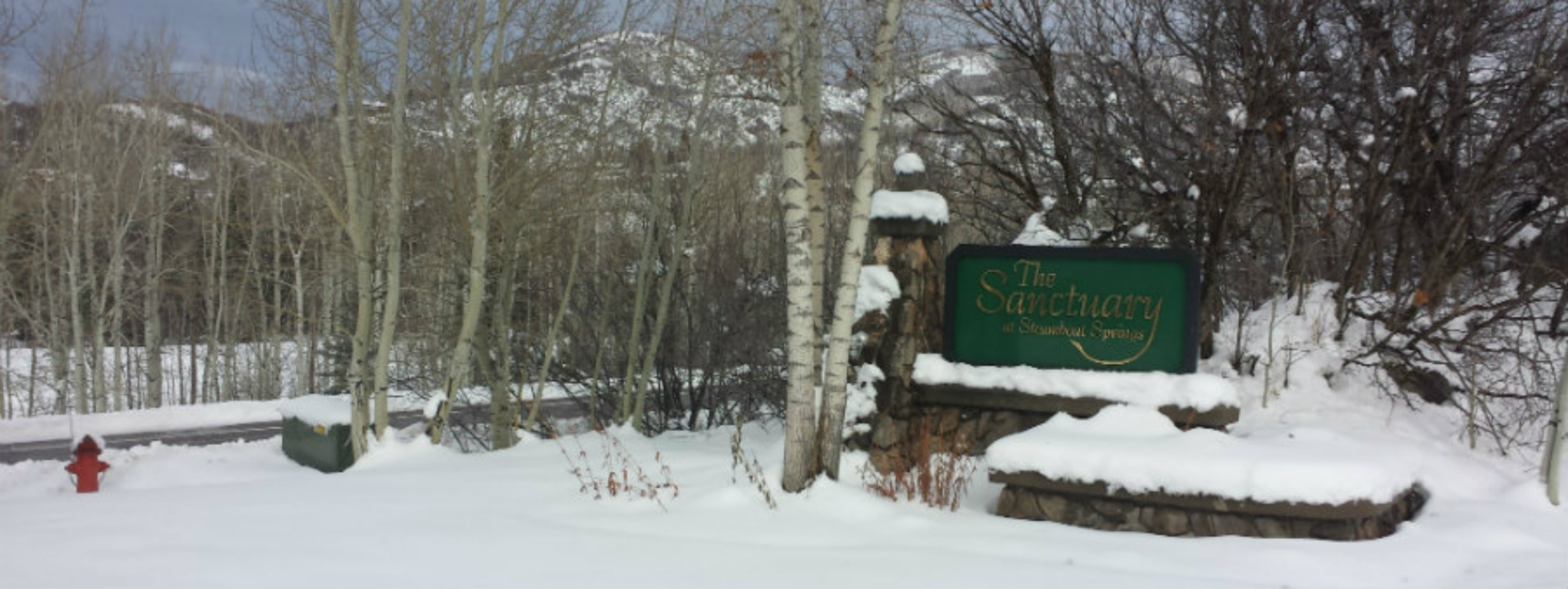 Steamboat Springs Real Estate Sanctuary