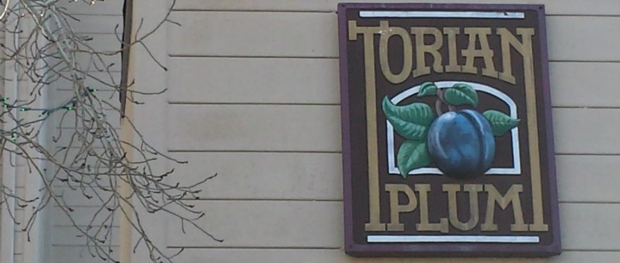 Torian Plum Steamboat Springs Real Estate