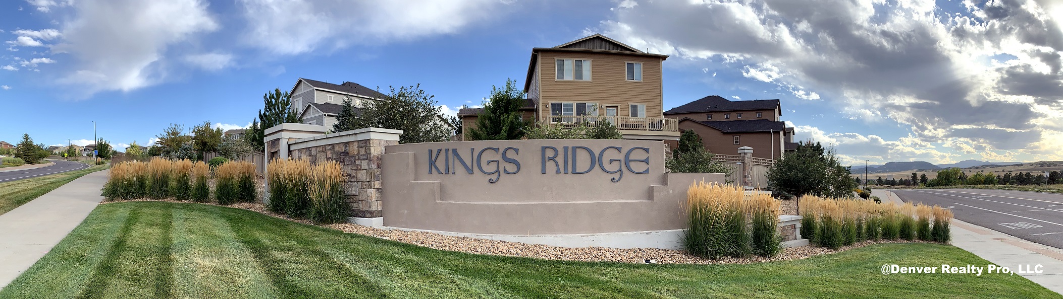 Kings Ridge Real Estate For Sale Castle Rock, CO