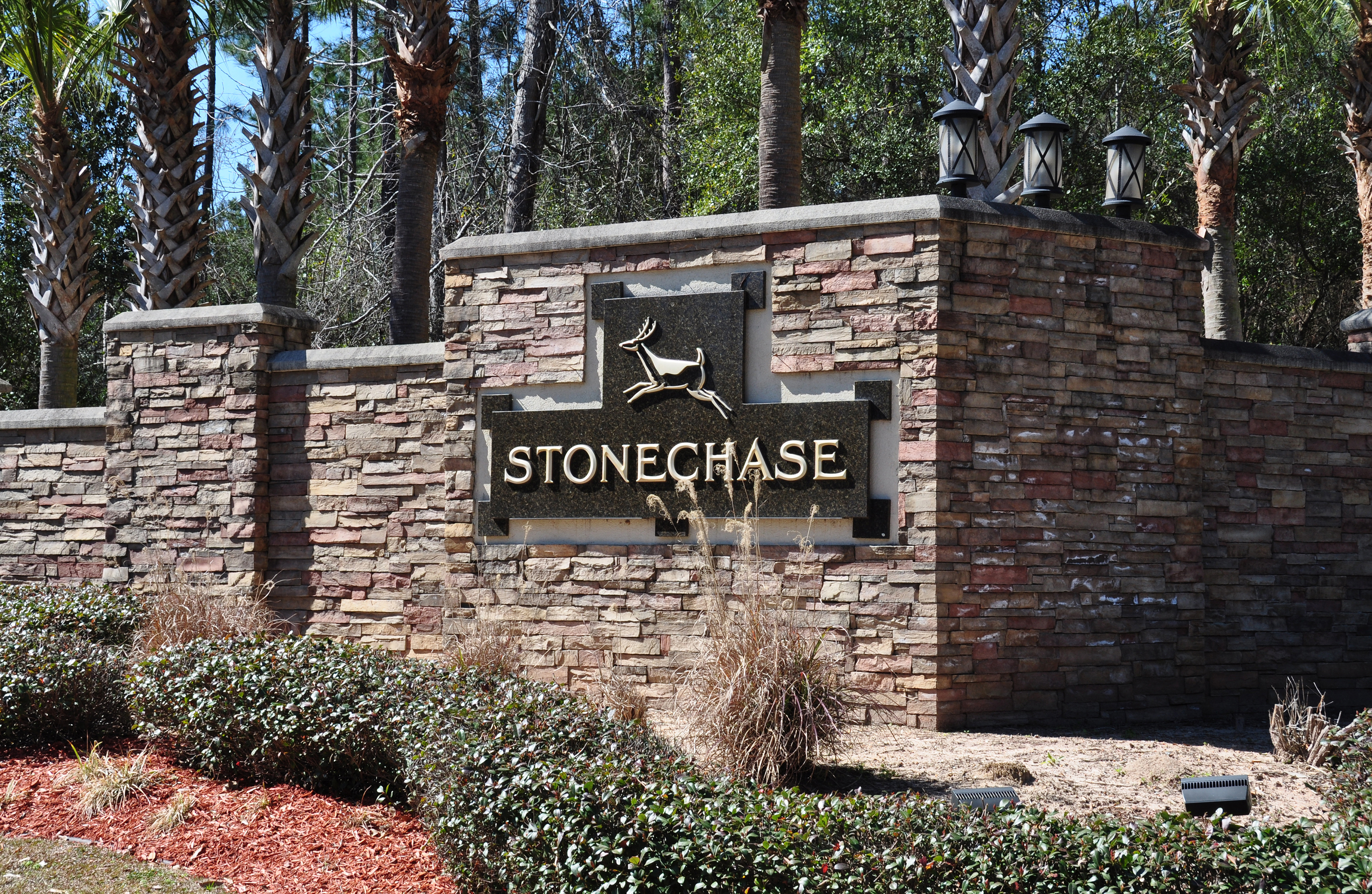 Stonechase
