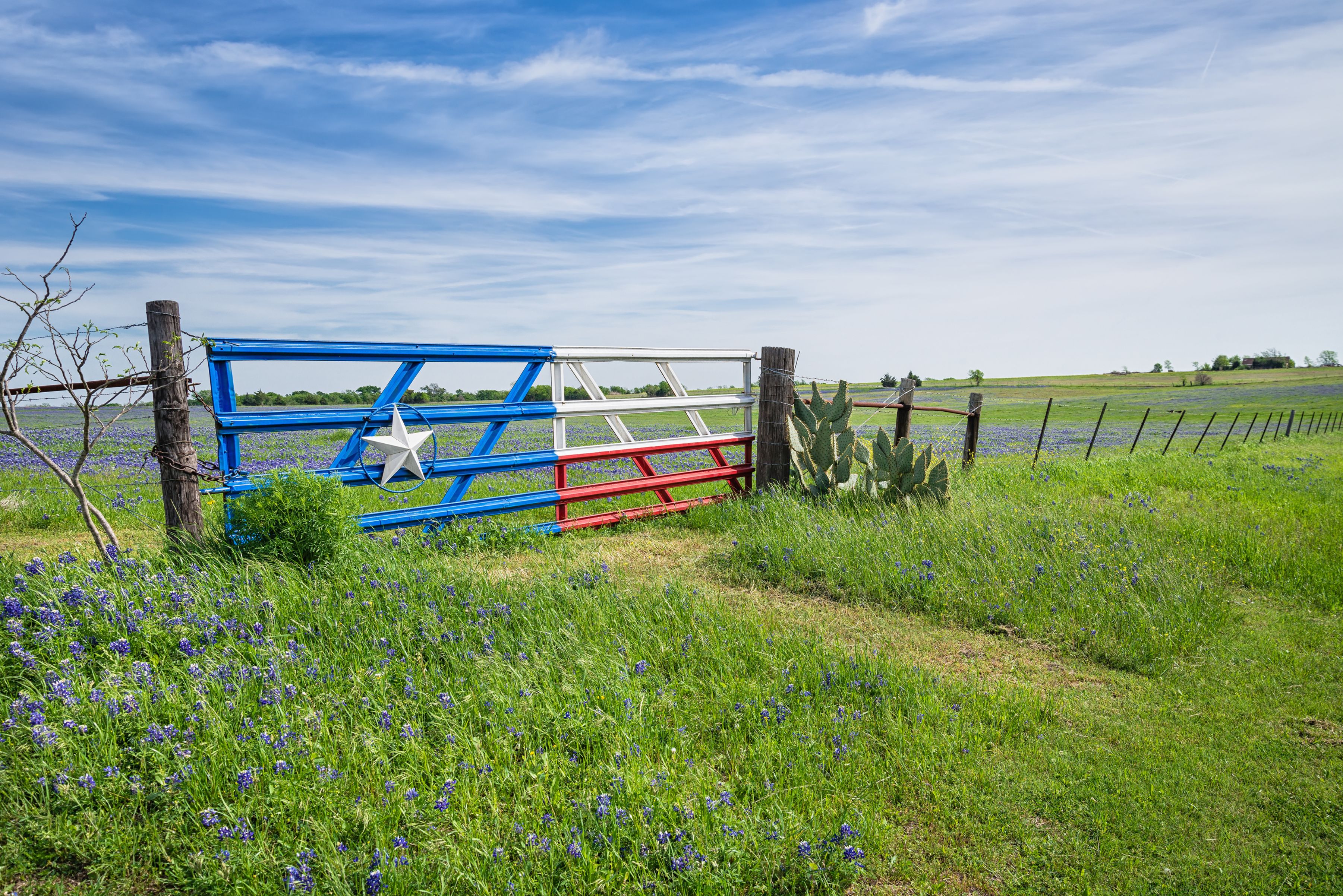 Harleton, TX Real Estate & Homes for Sale | 903 Realty