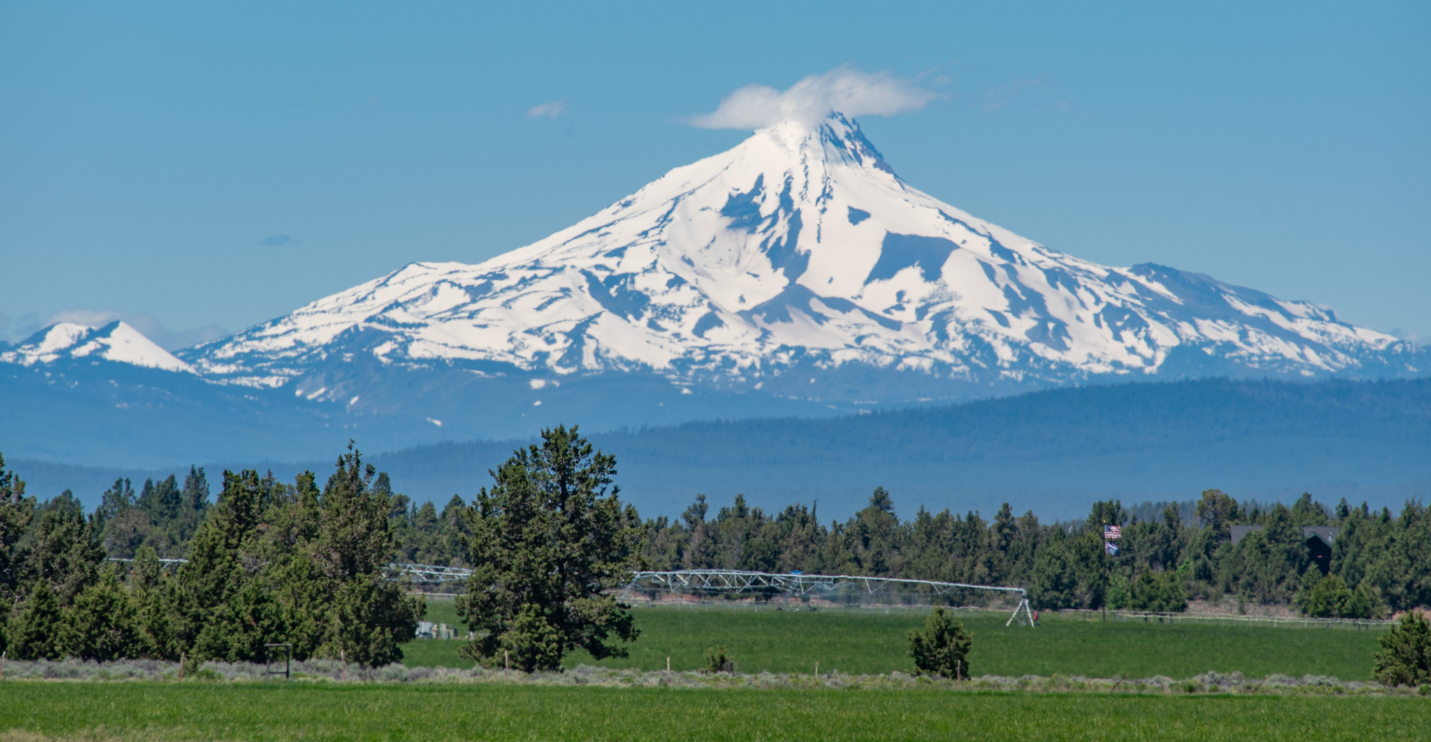 2025 Luxury Market Reports