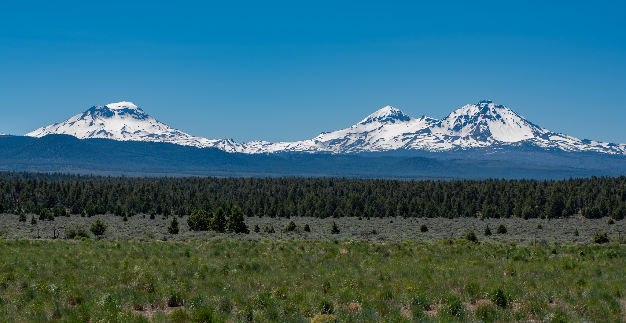 2025 Luxury Market Reports