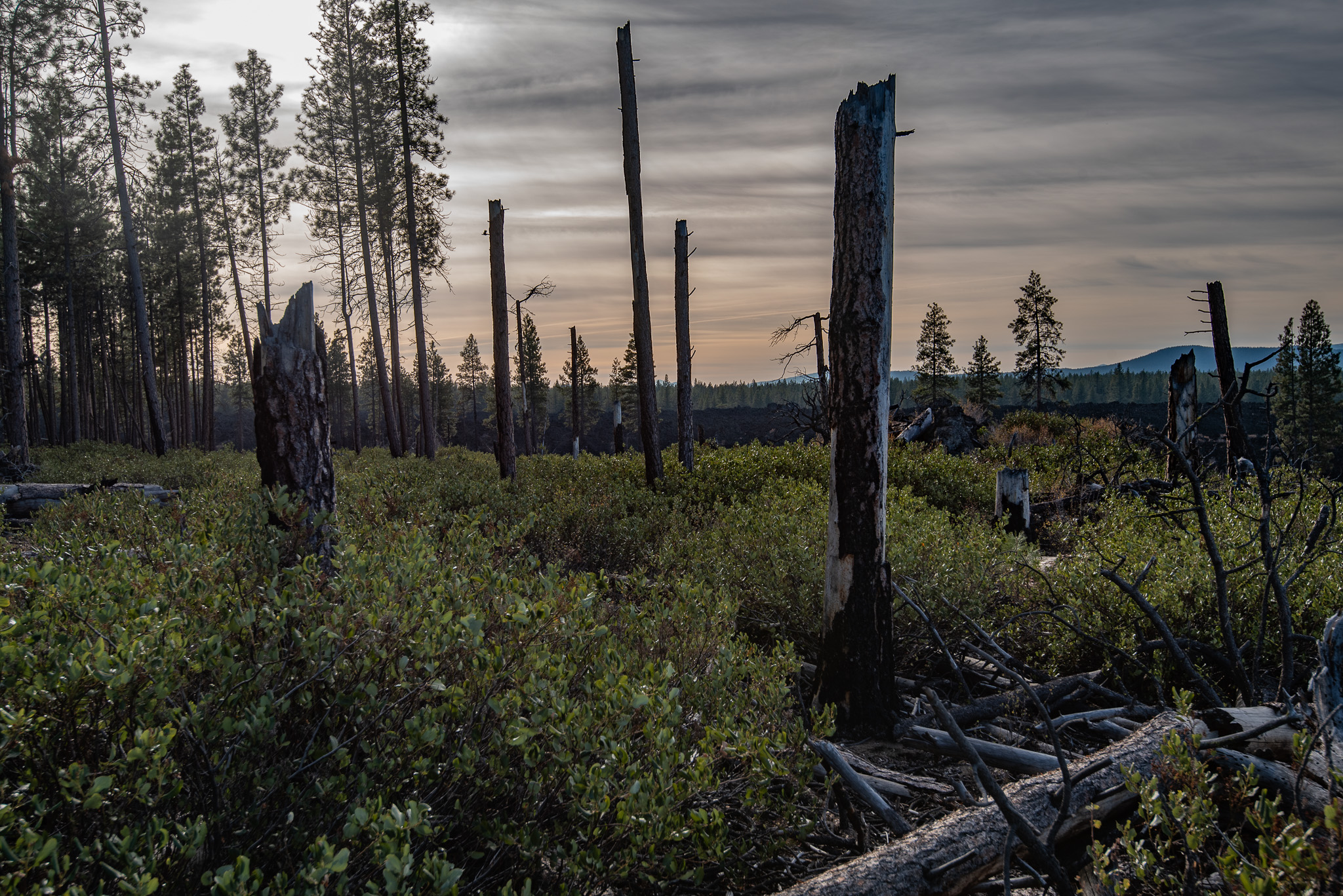 Central Oregon Luxury Market Report | May 9, 2025