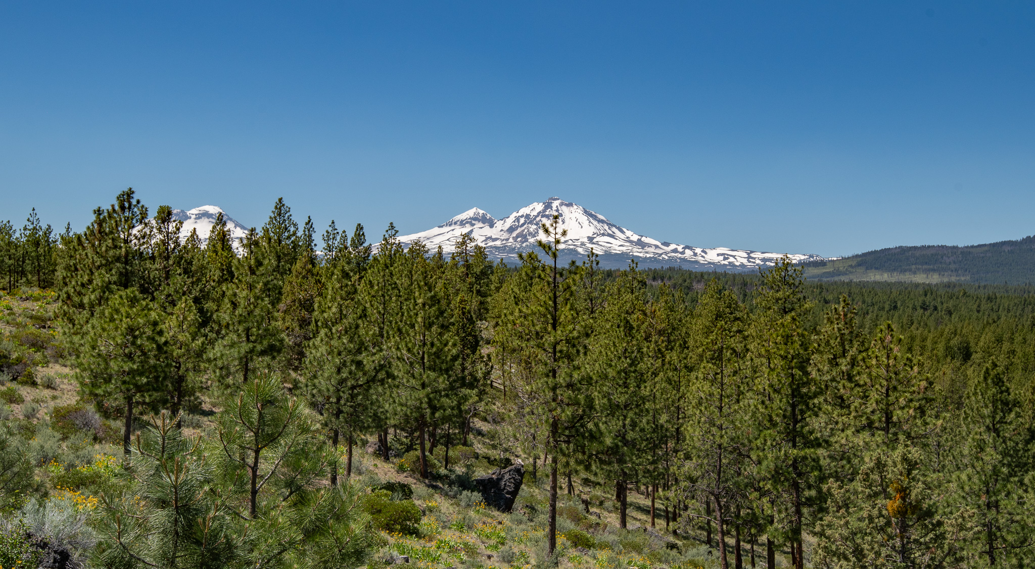 Central Oregon Luxury Market Report | October 24, 2025