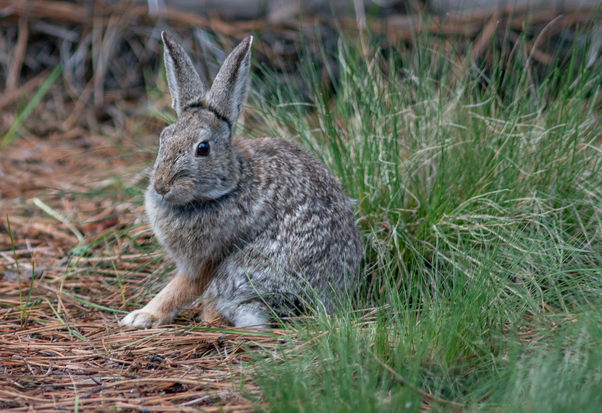 Central Oregon Luxury Market Report | April 25, 2025