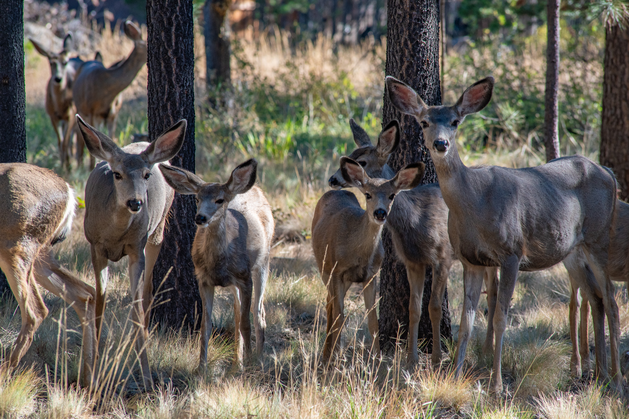 Central Oregon Market Report | December 4, 2024