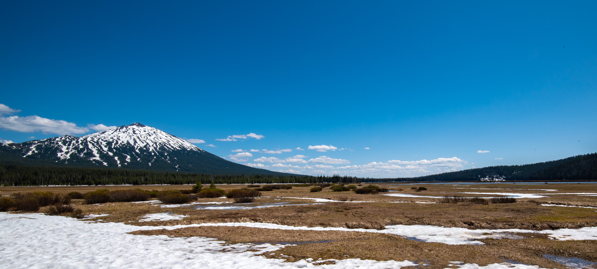 Central Oregon Market Report | January 24, 2024