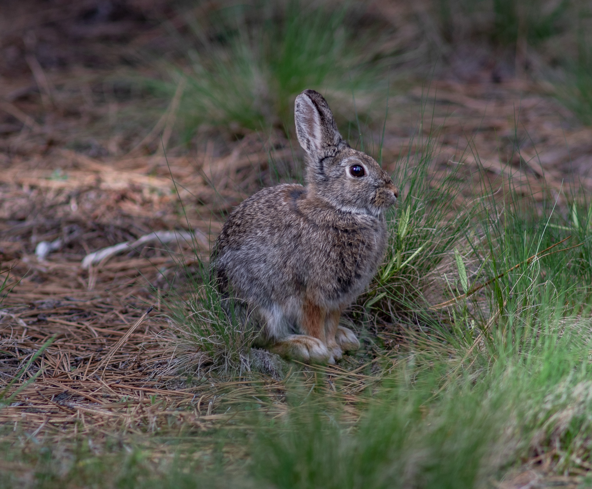 Central Oregon Market Report | March 12, 2025