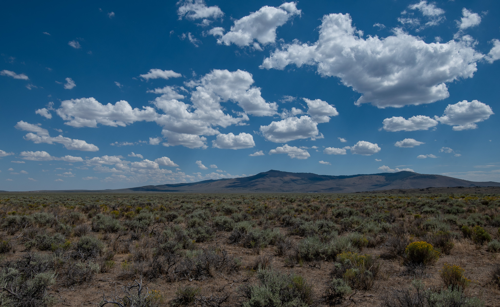 Central Oregon Market Report | May 28, 2025