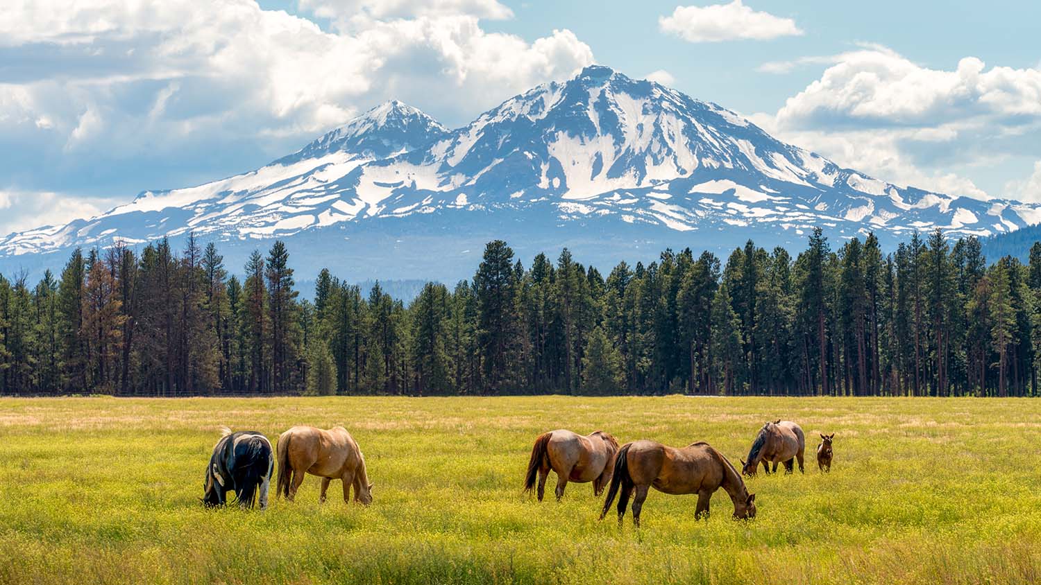 The Ultimate Guide to Bend, Oregon