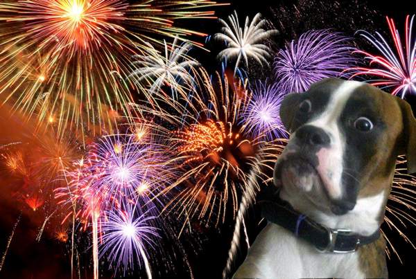 4th of July Fireworks