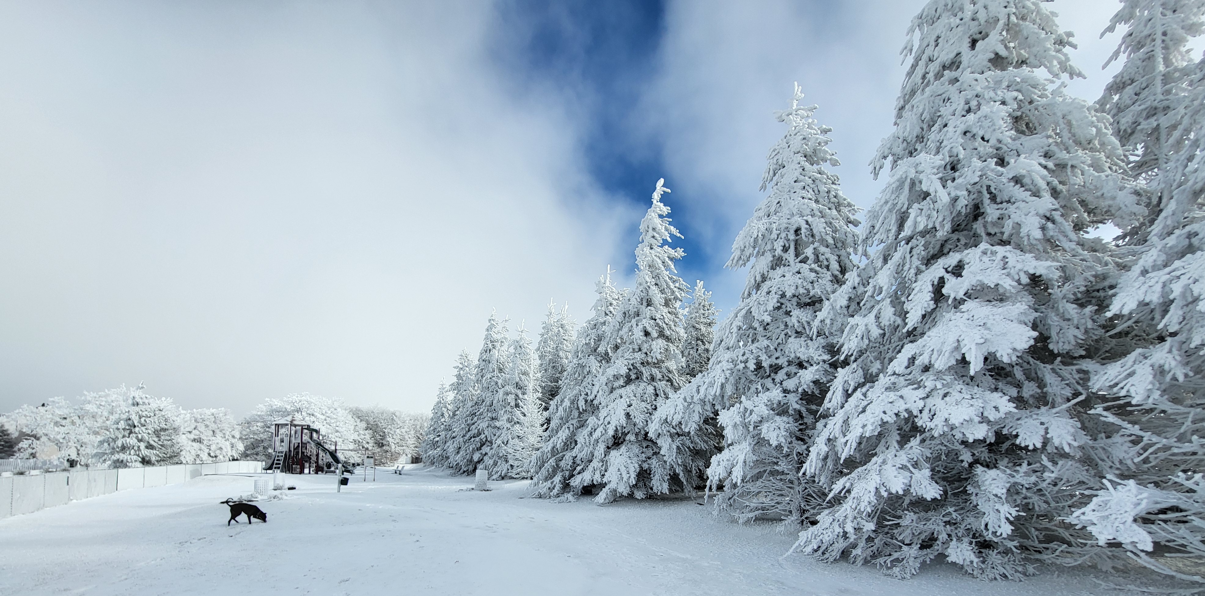 Epic Ventures Realty | Real Estate & Realtor in North Carolina